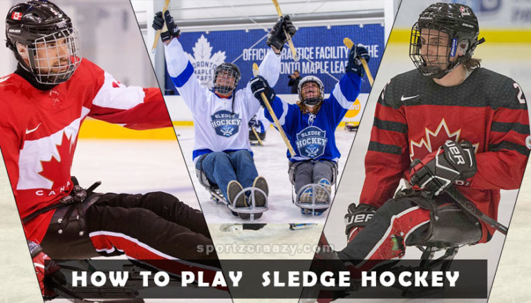 How to Play Sledge Hockey? Rules and Techniques