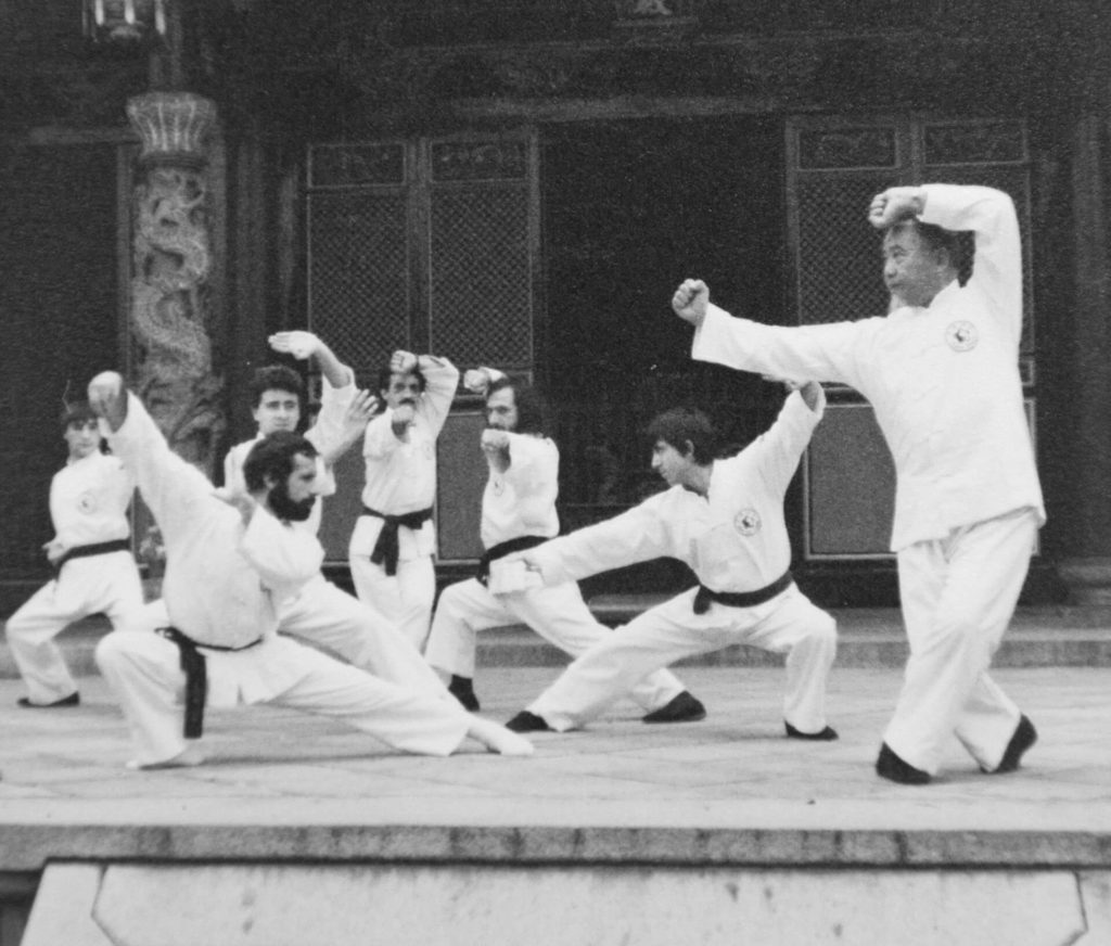 All You need to Know about Wushu Sport