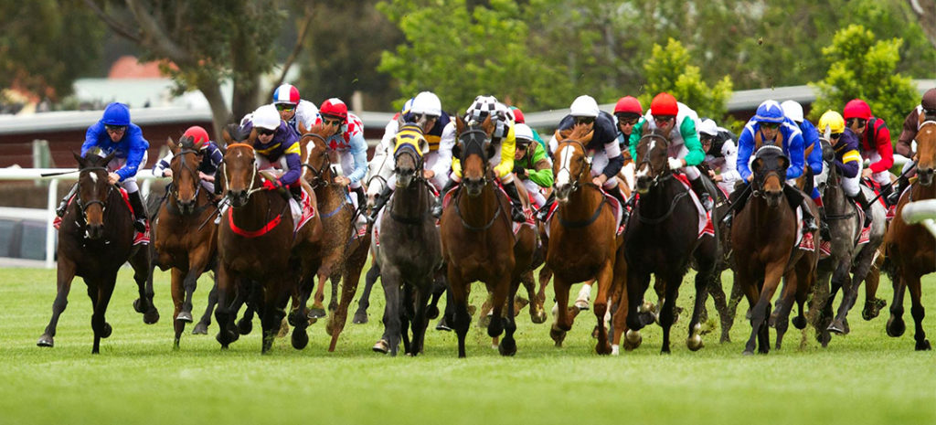 Melbourne Cup 2019 |Horse Racing | latest news & updates - Sportzcraazy
