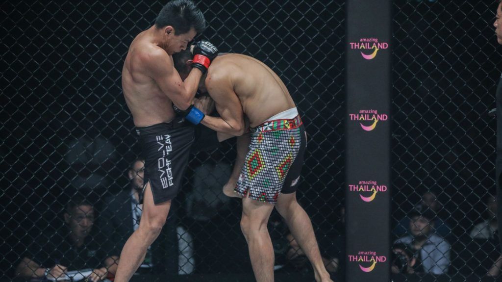 Best MMA Techniques That Are Commonly Used